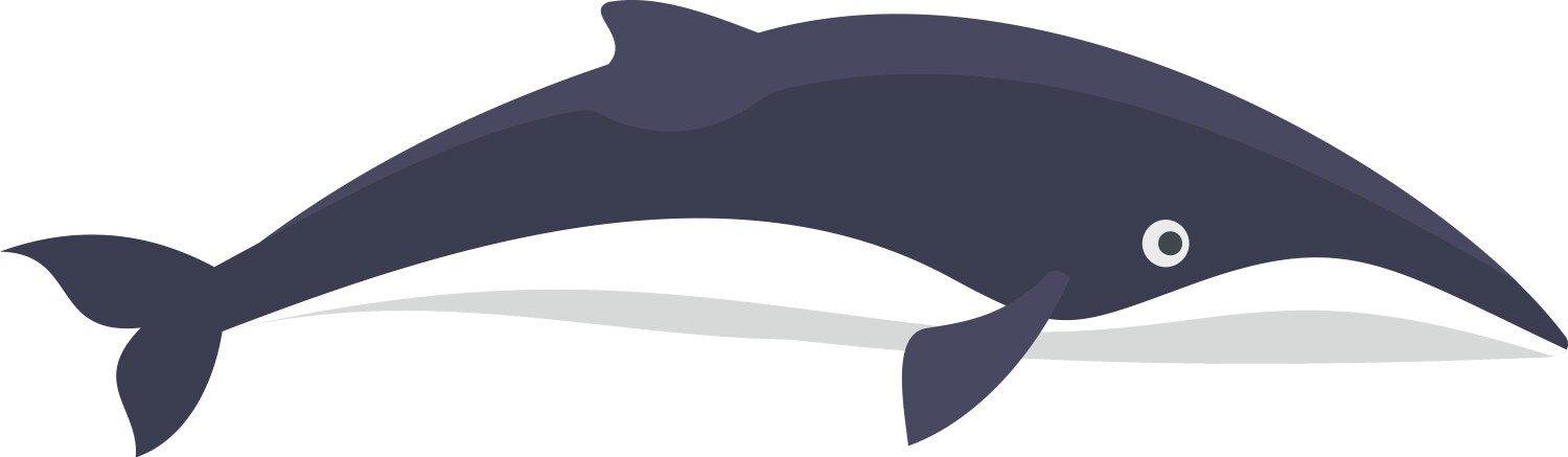 Gray Whale Cartoon Vector Images (over 6,700)