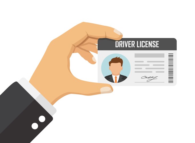 Hand holding driver license icon in flat style id Vector Image