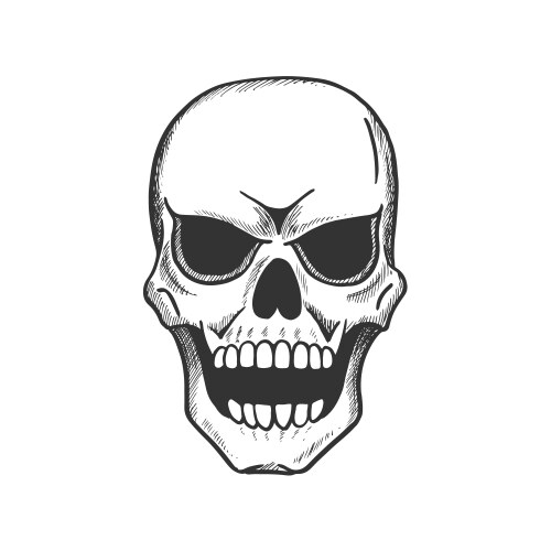 Skeleton Head Vector Images (over 59,000)