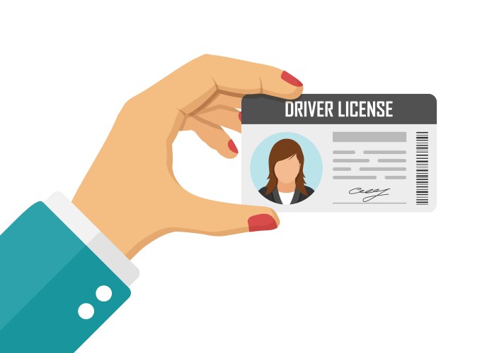 Drivers License Vector Images (over 4,400)