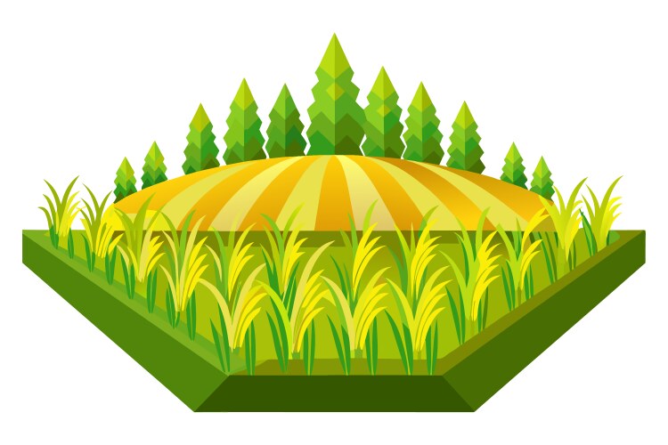 Rice Root Vector Images (over 210)