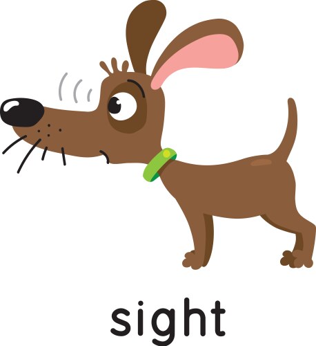 Cartoon five senses Vector Images & Graphics for Commercial Use ...