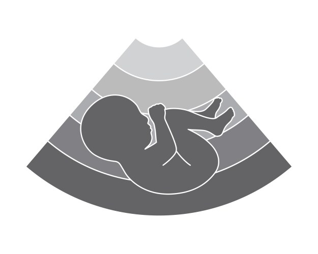 Ultrasound Vector Images (over 11,000)