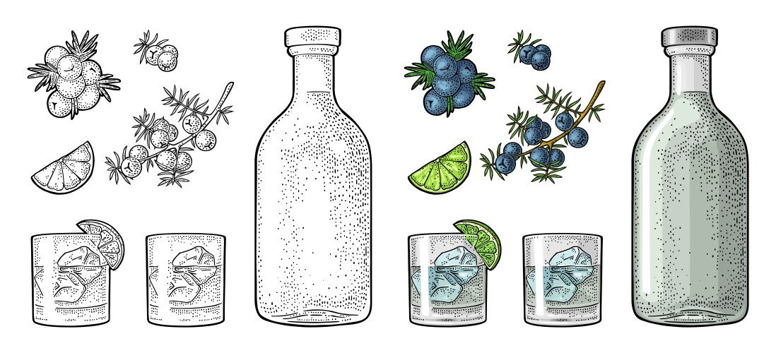 Gin Vector Images (over 10,000)