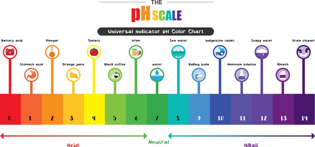 Chart ph alkaline and acidic scale Royalty Free Vector Image