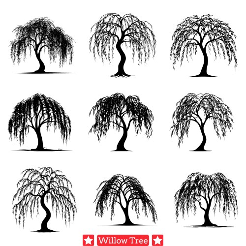 Willow Tree Vector Images (over 3,500)