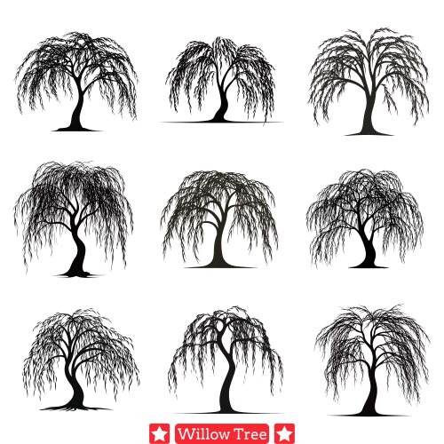 Willow Tree Vector Images (over 3,300)