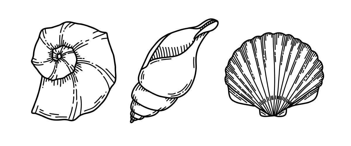 Beach Shells Vector Images (over 31,000)