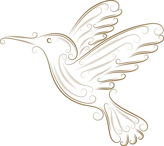 Hummingbird Outline Vector Images (over 2,900)