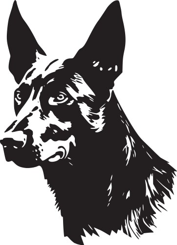 Australian kelpie - minimalist and simple Vector Image