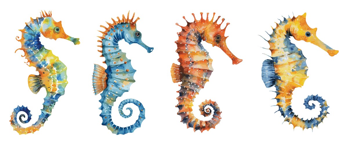 Seahorse Clip Art Seahorse Clipart Set, Outline Seahorse Graphic By