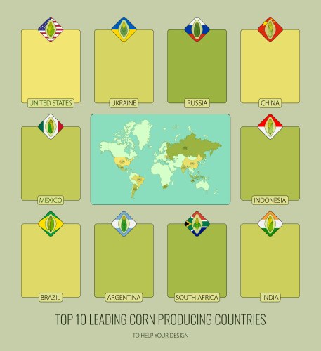 Top 10 corn producing countries infographics Vector Image