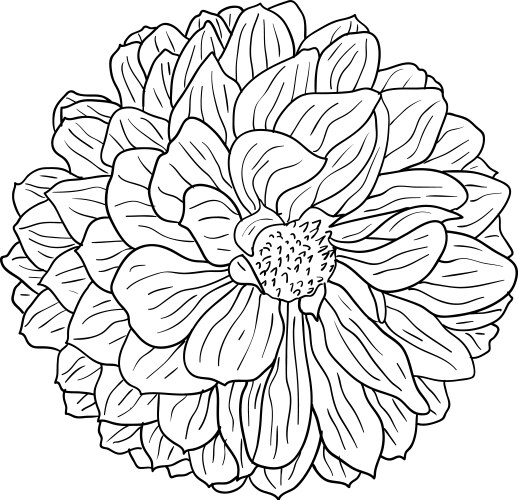 Cempaka flower pattern outline sketch Royalty Free Vector