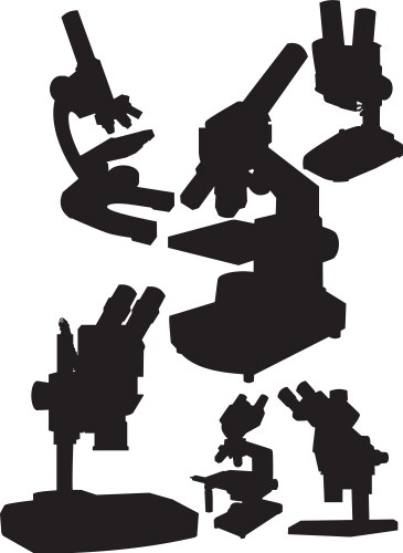 Microscope Royalty Free Vector Image - VectorStock