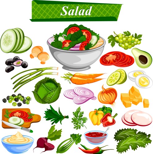 Salad Ingredient Vector Images (over 46,000)