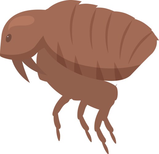 Typhus Vector Images (over 170)