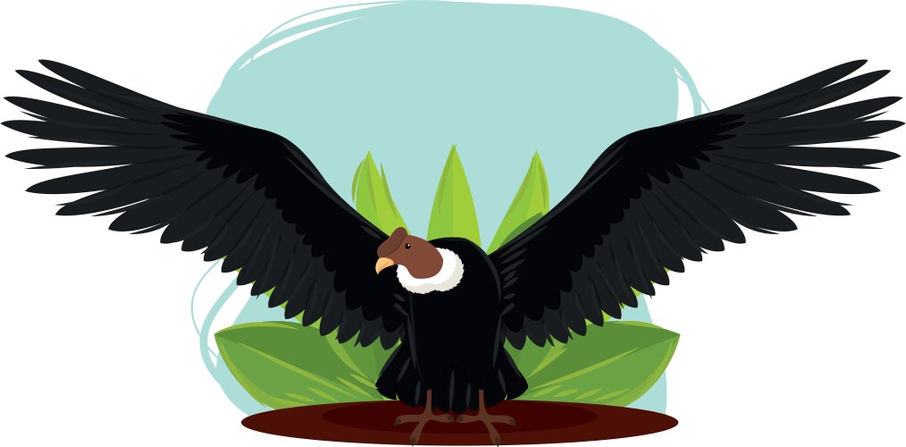 Condor Cartoon Vector Images (over 240)