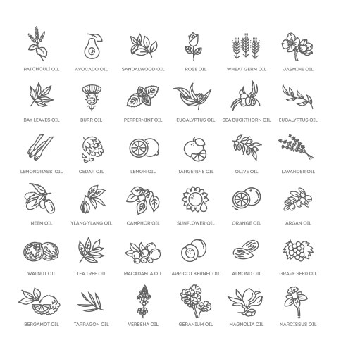 Natural Ingredients Icon Vector Images (over 170,000)