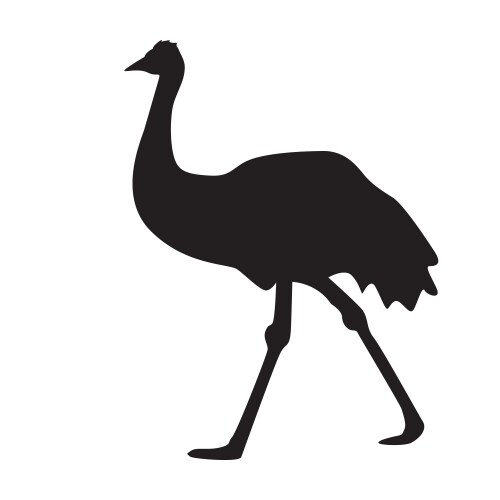 Emu Running Cartoon Vector Images (over 140)