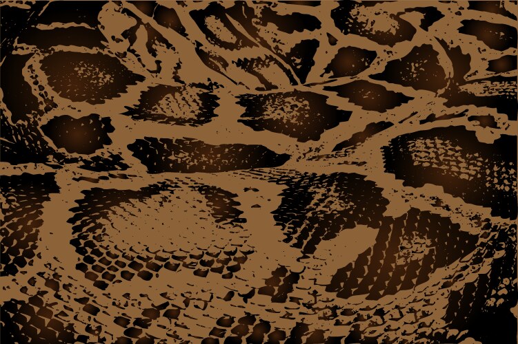 Snake skin texture seamless pattern design Vector Image