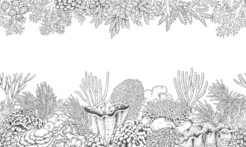 Coral reefs set Royalty Free Vector Image - VectorStock