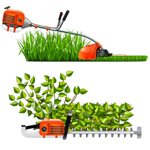 Bushes Vector Images & Graphics for Commercial Use | VectorStock