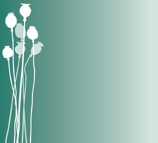 Poppy Head Vector Images (over 1,500)