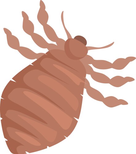 Typhus Vector Images (over 170)