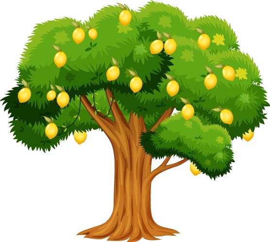 Lemon tree in cartoon style isolated on white Vector Image