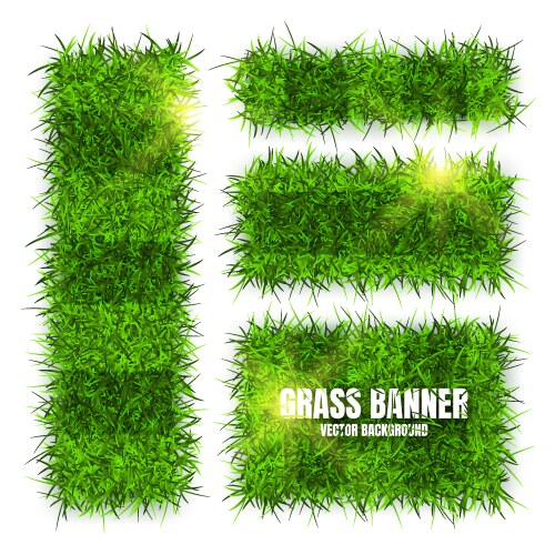 Green grass banners background field meadow Vector Image