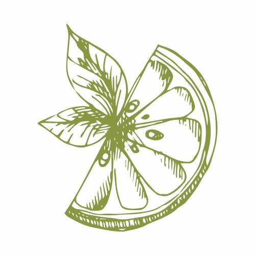 Lemon squeezer hand drawn sketch icon Royalty Free Vector