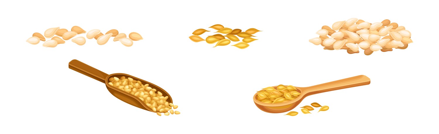 Wheat Grain Vector Images (over 61,000)