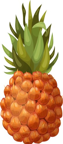 Pineapple chunks Vector Images & Graphics for Commercial Use | VectorStock