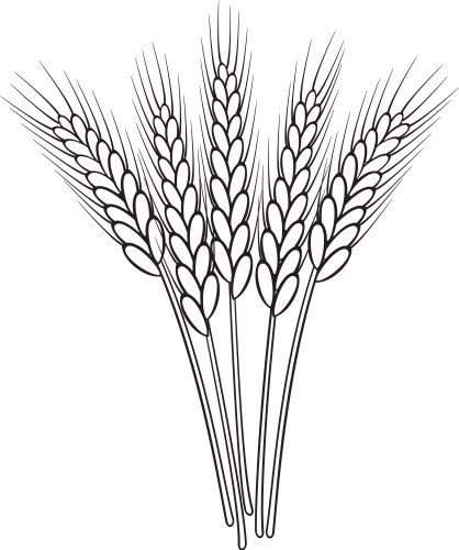 Wheat Vector Images (over 130,000)