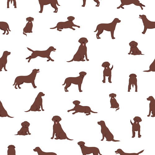 Chocolate Labrador Vector Images (over 130)