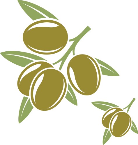 Olive Tree Vector Images (over 230,000)