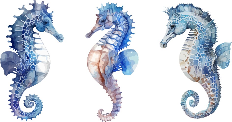 Seahorse Vector Images (over 11,000)