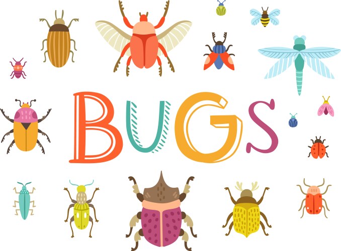 Insects Bugs Royalty Free Vector Image Vectorstock
