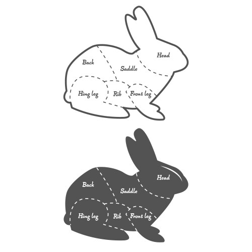 Diagram guide for cutting meat in vintage style Vector Image