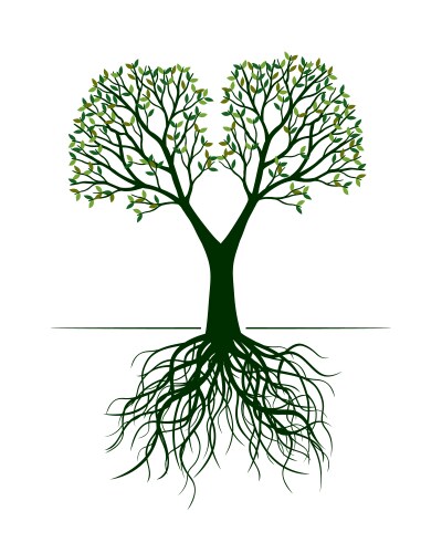 Abstract tree with roots outline plant in garden Vector Image