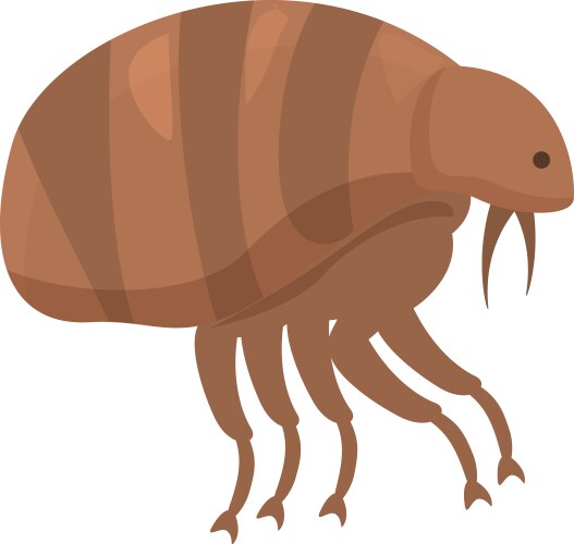 Brown flea insect walking side view Royalty Free Vector