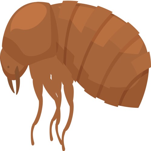 Brown flea insect crawling with six legs Vector Image