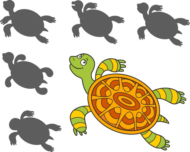 Turtle Shadow Vector Images (over 1,000)