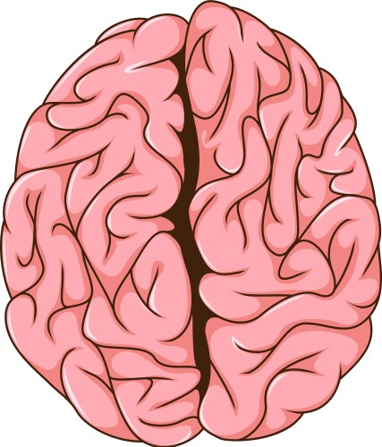 Human brain cartoon isolated Royalty Free Vector Image
