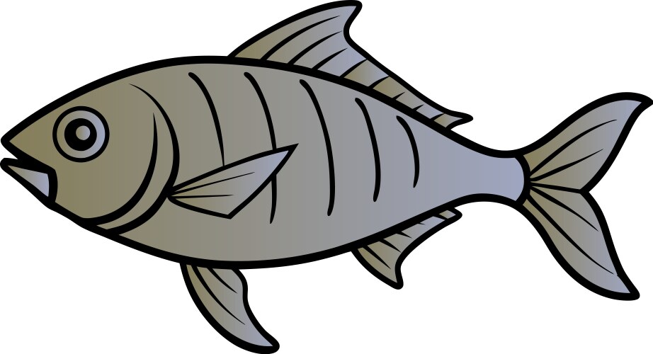 X-Ray Fish Vector Images (over 280)