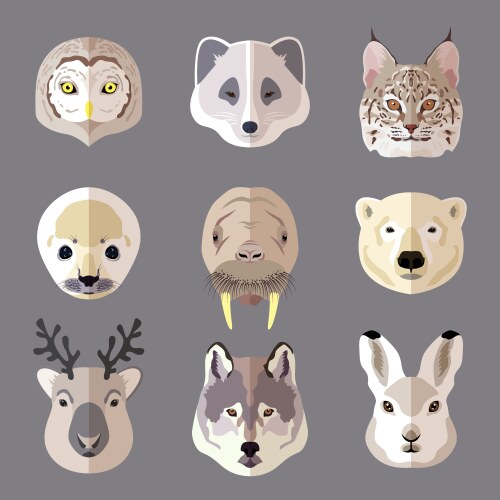 Animal faces for app icons-set 12 Royalty Free Vector Image