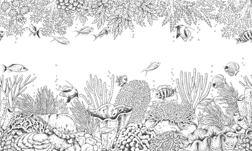 Coral Outline Vector Images (over 6,700)