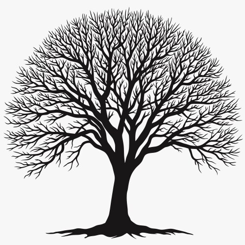 Tree Roots Vector Images (over 20,000)