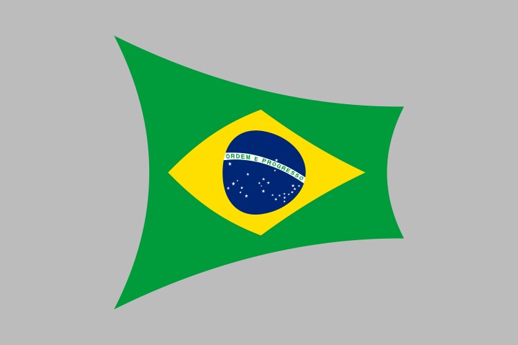 Brazil flag Royalty Free Vector Image - VectorStock