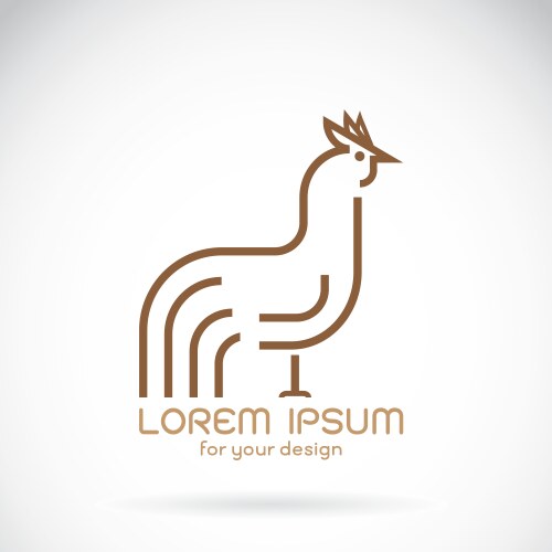 Head rooster chicken cook poultry colored hipster Vector Image